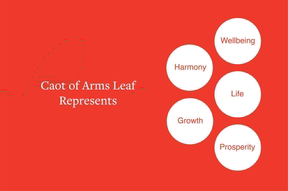 Uniform and Creative Design for the Bahrain Olympic Team